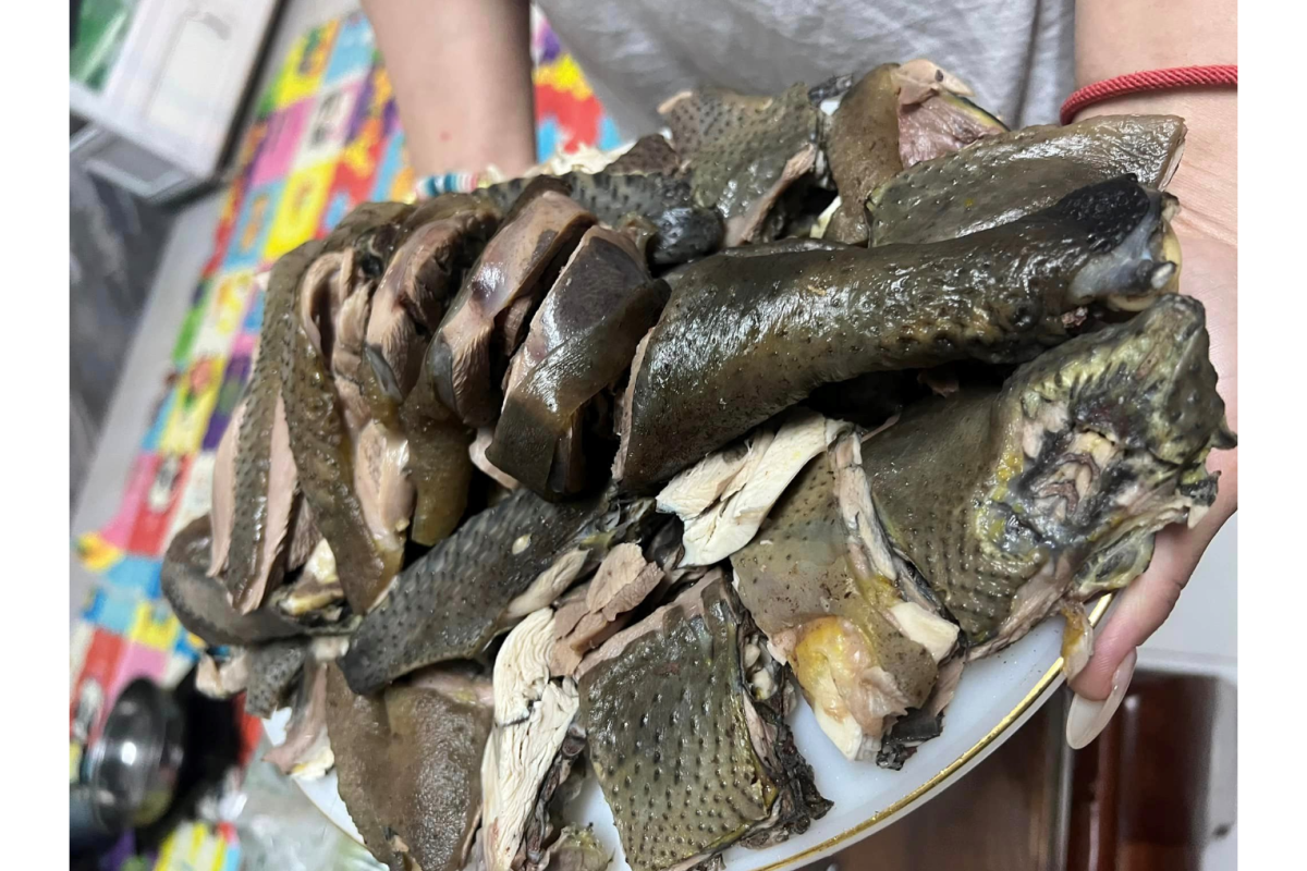 Món ngon chế biến từ gà đen H'mông đặc sản Tây Bắc - Sapa review